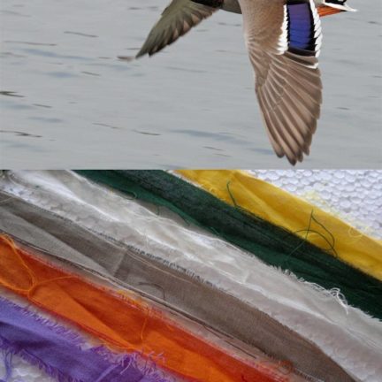 The Mallard Duck Sari Yarn Ribbon | Colorful Inspirational Silk Yarns